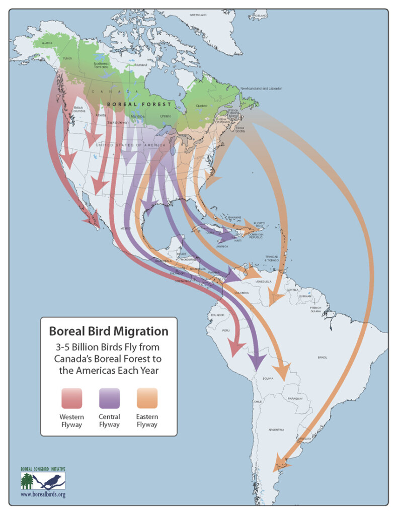 Is your yard ready for spring migratory birds? - Wild Ones West Cook Chapter