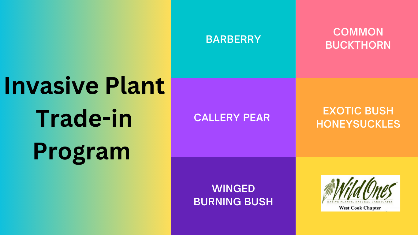 Identifications for Targeted Invasive Plants for Trade-in Program ...