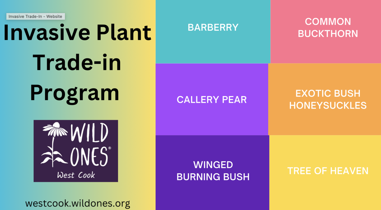 Invasive Tree and Shrub Trade-in - Wild Ones West Cook Chapter
